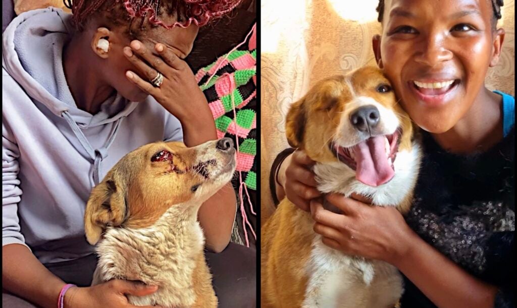 Beloved Township Dog Reunited With Family! - Sidewalk Specials